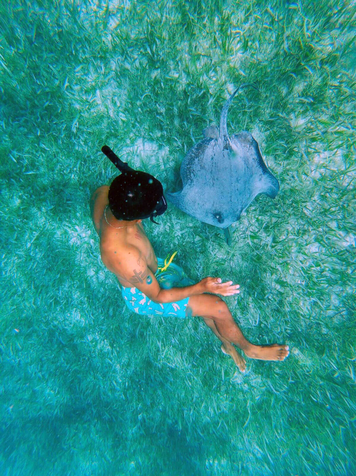 Searious Adventures Belize | Top Rated Tours in San Pedro